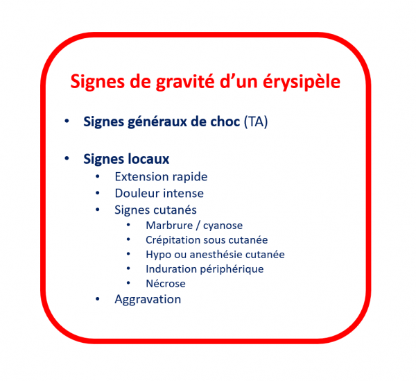 Dermo hypodermite bactérienne non nécrosante (érysipèle ...